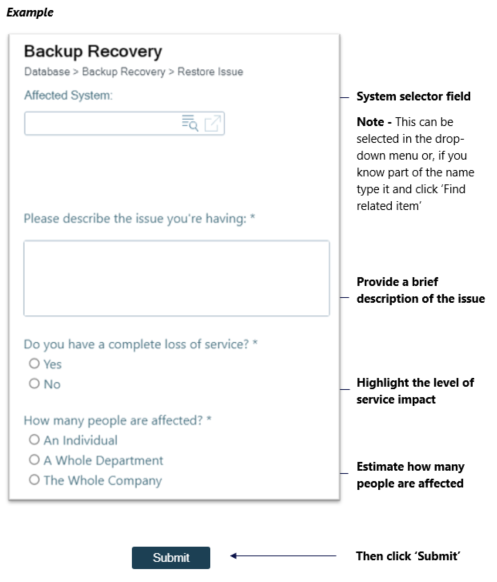 DSP Customer Service Manual