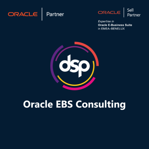 Oracle EBS Consulting